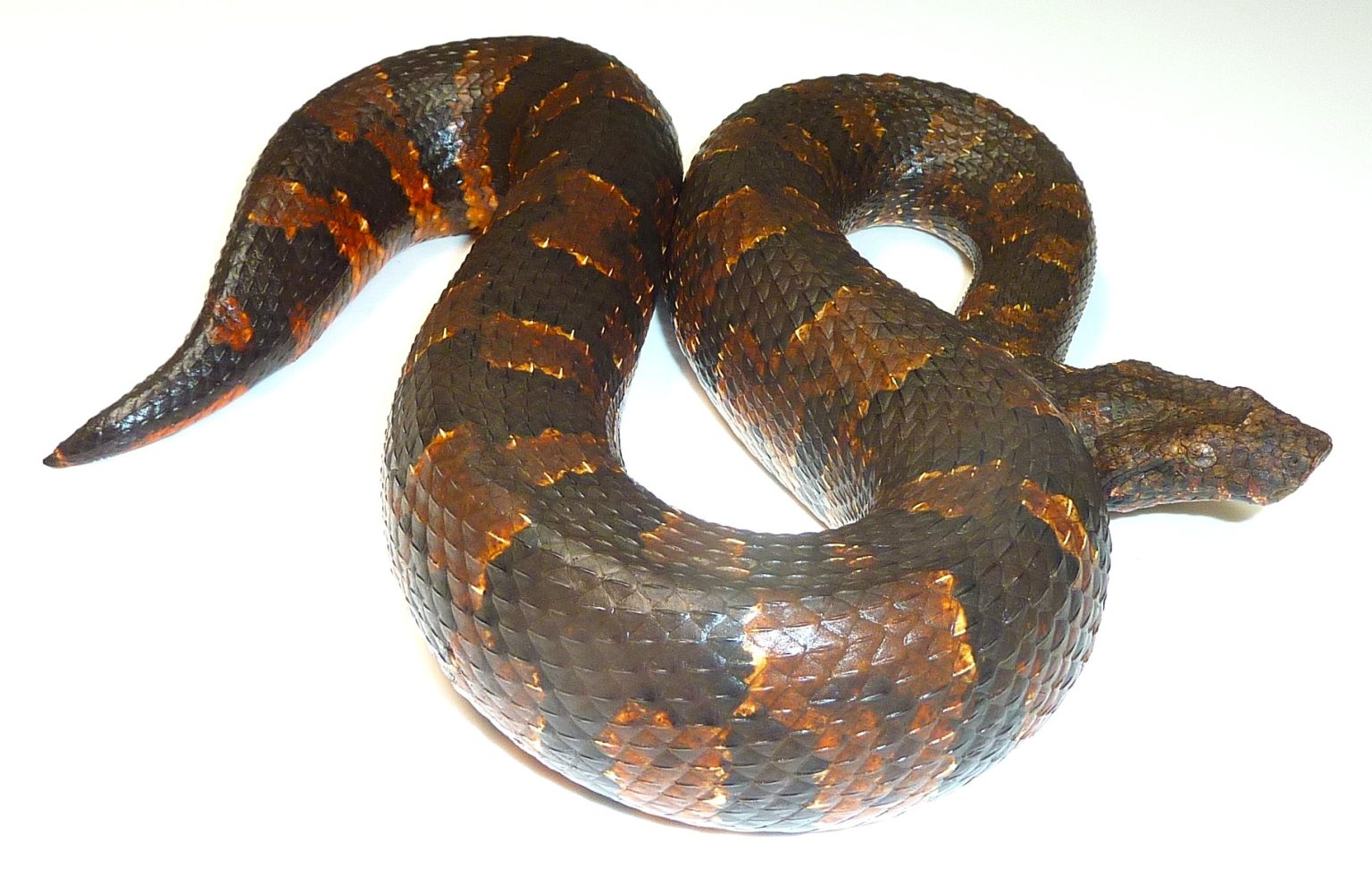 Boas Archives - BSRAUCTIONS